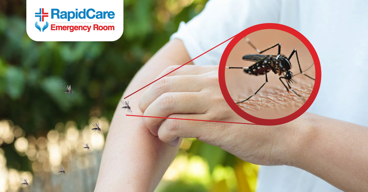 The Real Dangers of Mosquito Season - RapidCare ER